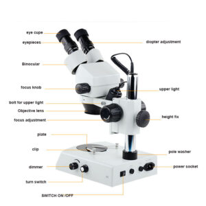 What is microscope power magnification function basic Generous 2022