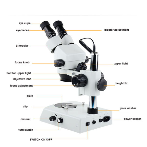 stereo microscope dissecting microscope praised buy 2022 factory ...